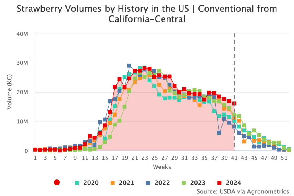 Current state of the US strawberry market