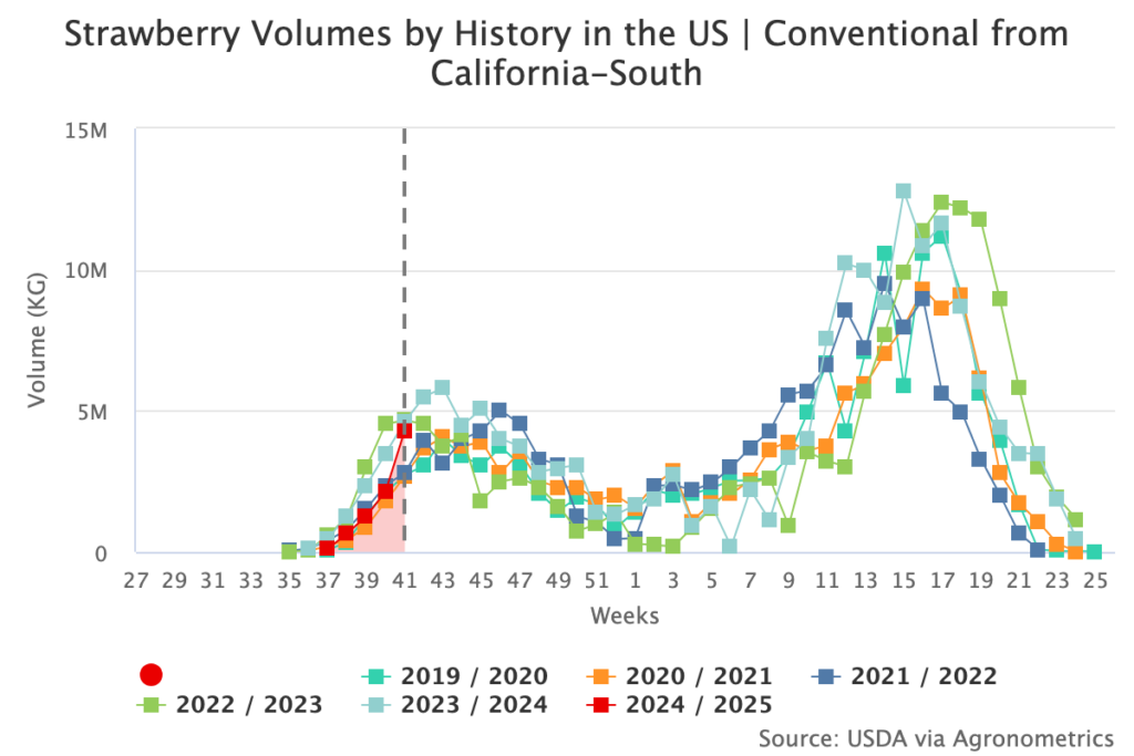 Current state of the US strawberry market