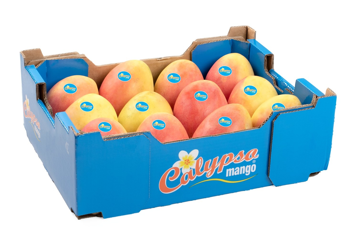 Calypso mangos introduced to the U.S. market