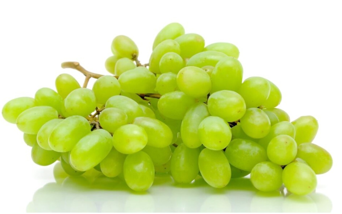 Over 50,000 tons of Chilean table grapes to be shipped to the US under Systems Approach