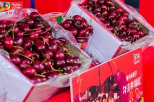 The first "Cherry Express" with Chilean cherries has arrived in Hong Kong