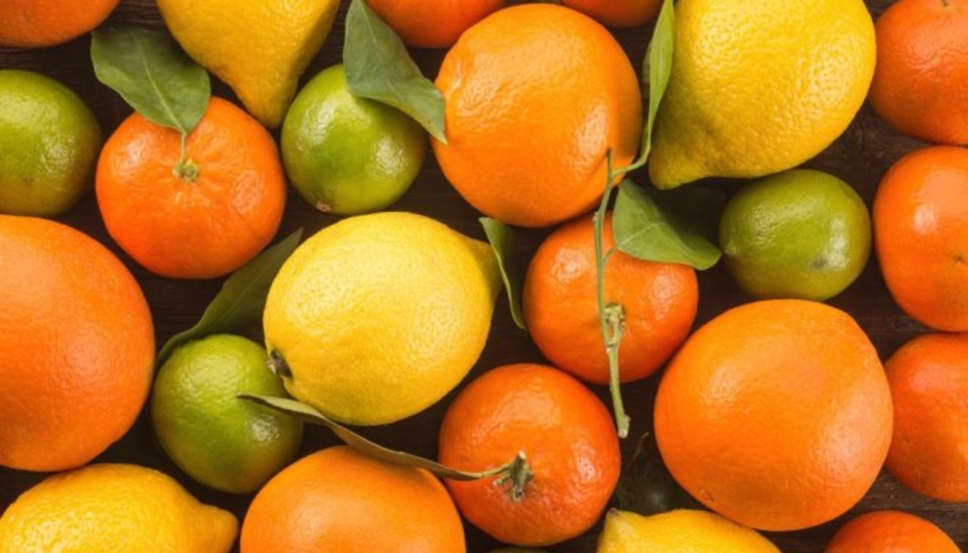 Leading citrus exporting countries in 2023