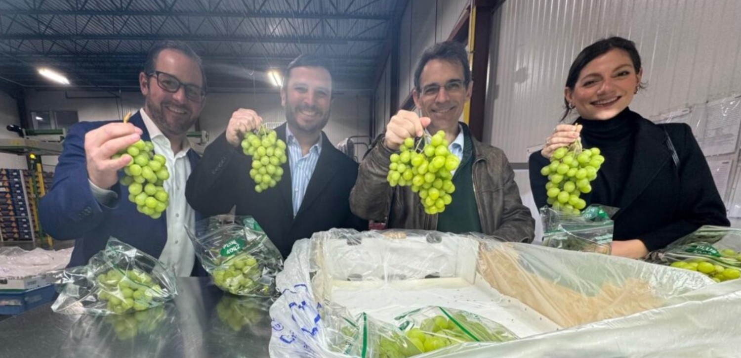 First Chilean table grapes under Systems Approach protocol arrive in the US