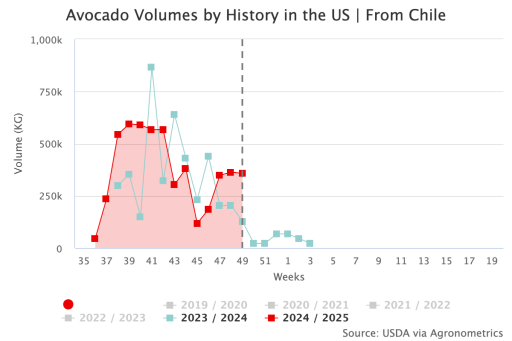 Chile’s avocado industry continues to flourish