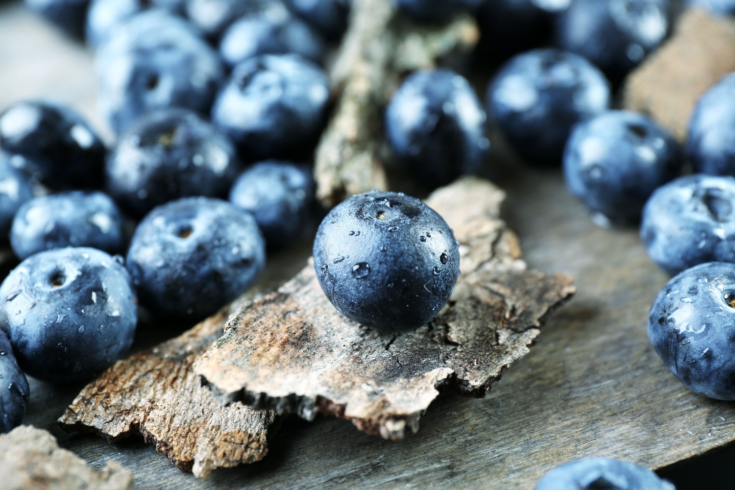 Morocco projects another record blueberry crop for 2024-25