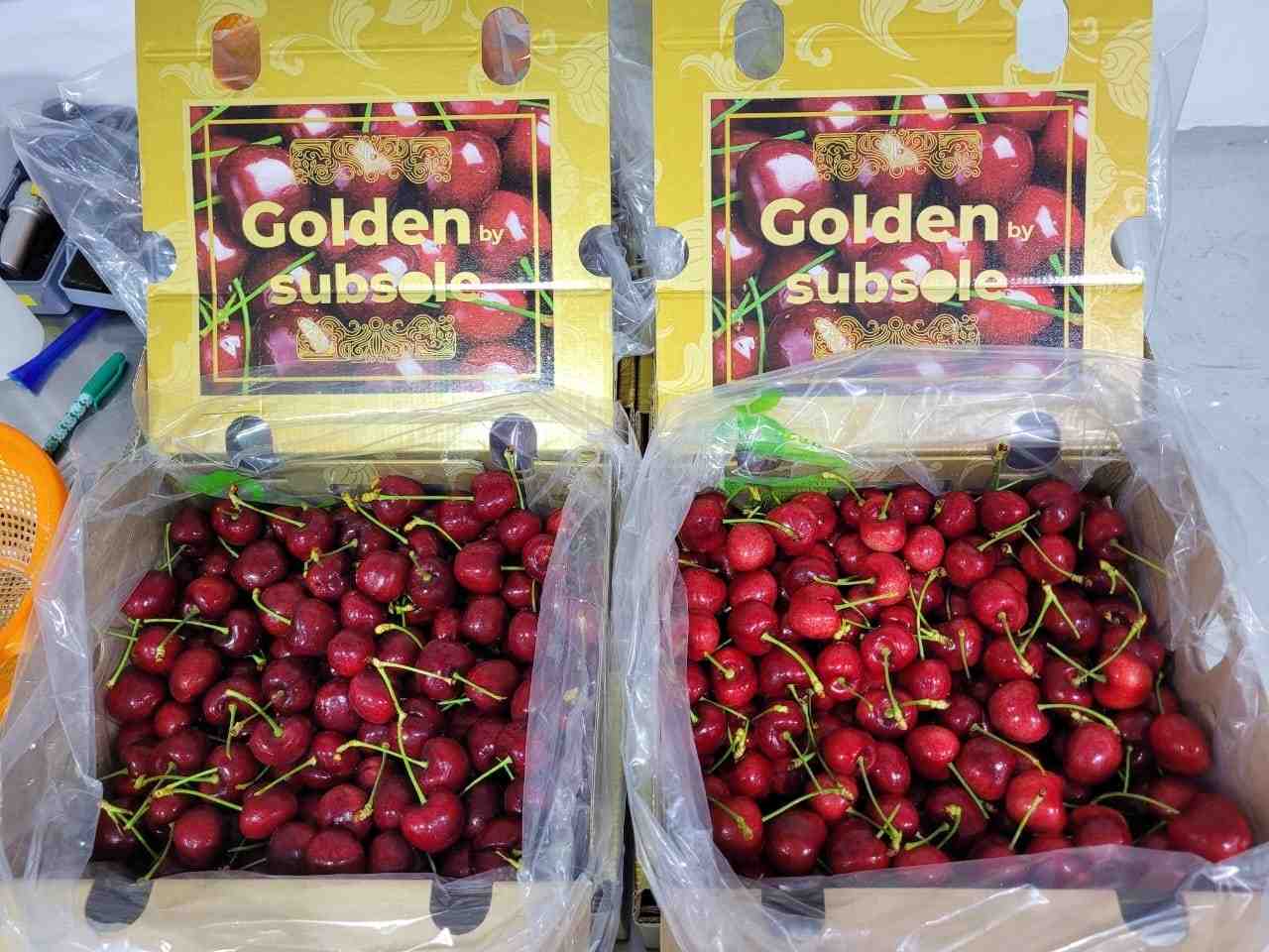 Chilean cherries from Subsole reach the demanding Indian market