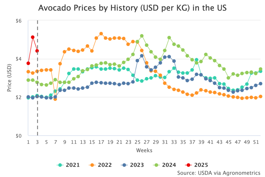California avocado crop promises relief amid soaring prices