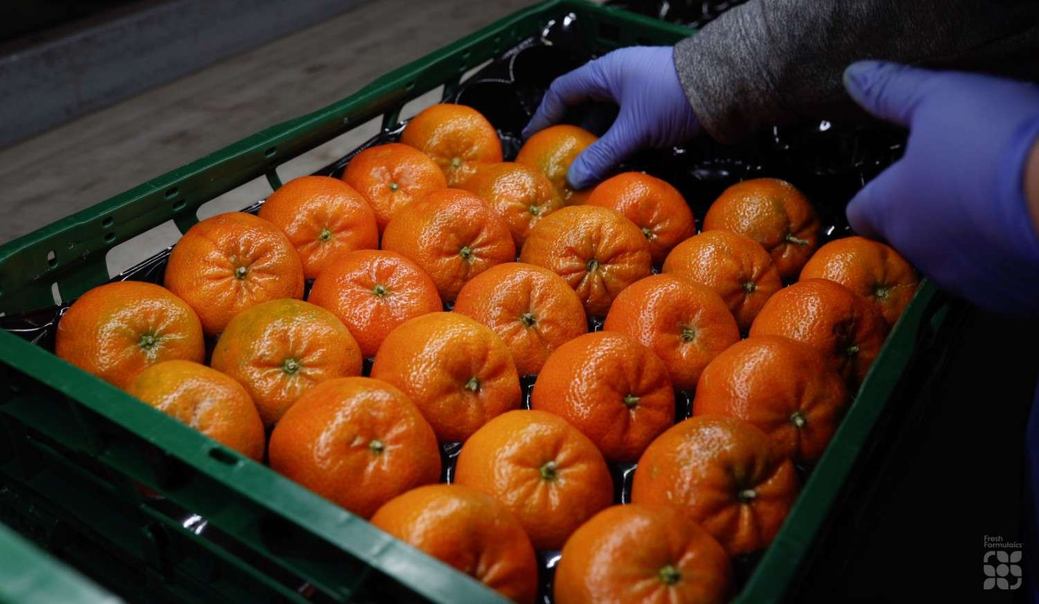 Fresh Formulaics to Unveil its First Product, Flair S1™