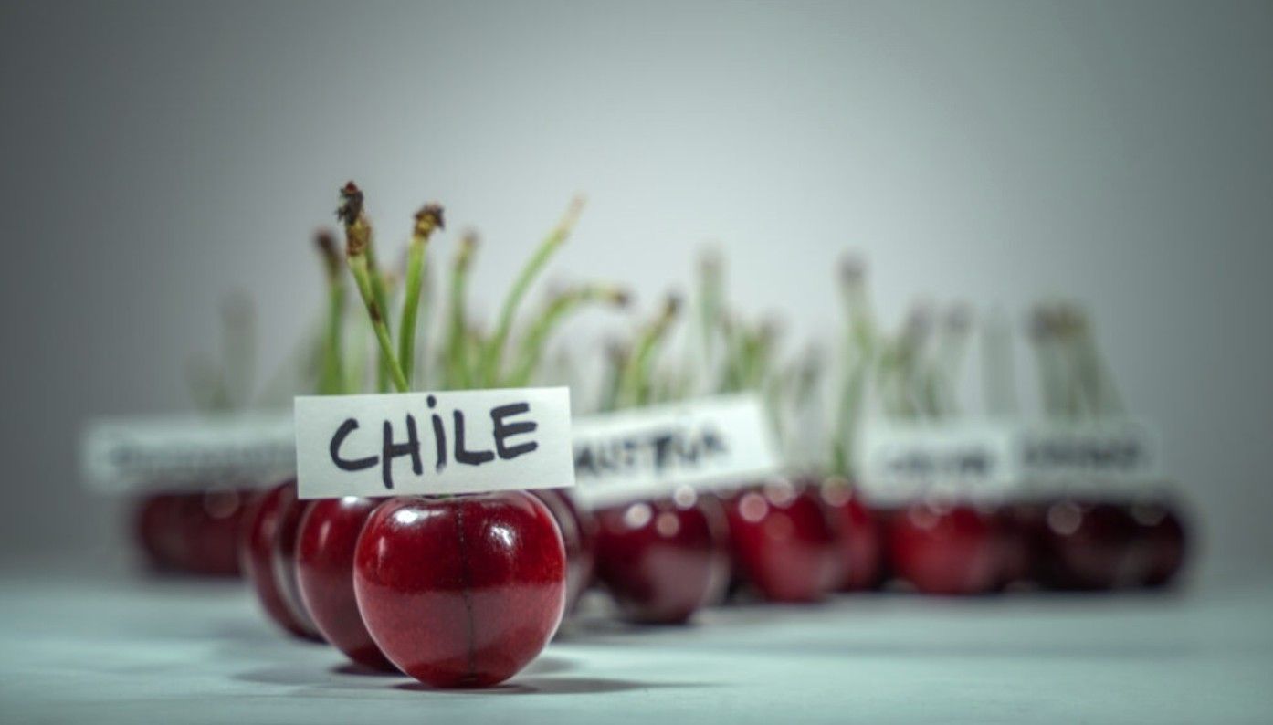 After 52 days at sea, Chilean cherries on stranded ship arrive in China