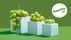 AUTUMNCRISP® Grapes: Retail’s Sweetest, Most Snack-able Success Story ...