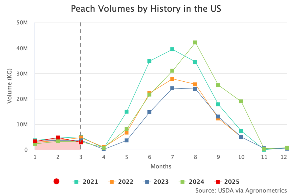 Favorable weather sets stage for a big Georgia peach harvest