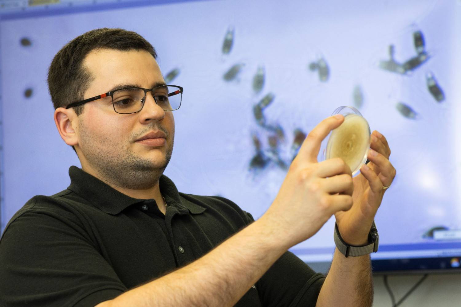 Hurricanes can bring crop diseases, but plant clinics help farmers ...