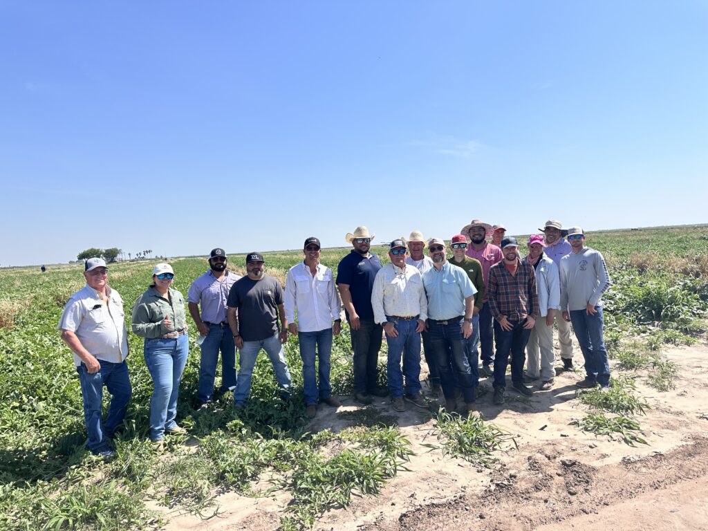 Texas watermelon industry aims to ‘sell every pound'