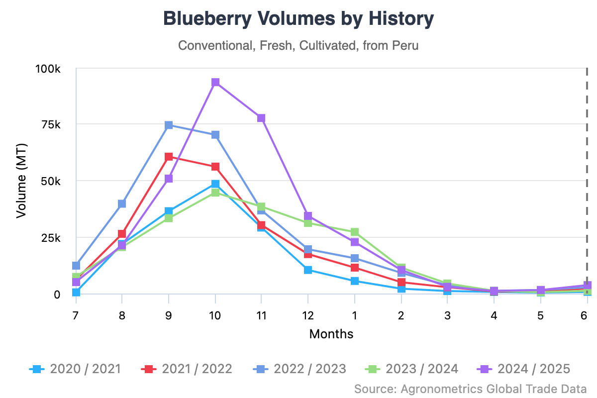 Peru aims for record breaking blueberry exports in 2025-26