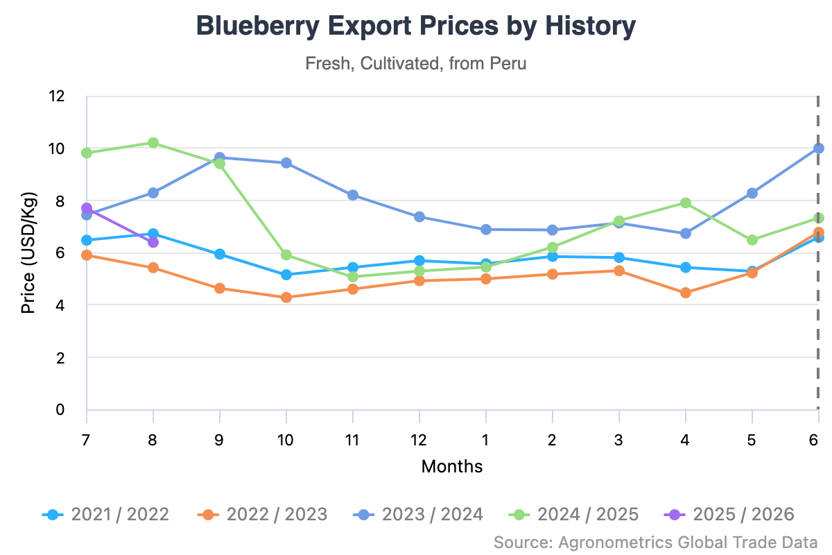 Peruvian Blueberry Exports Surge