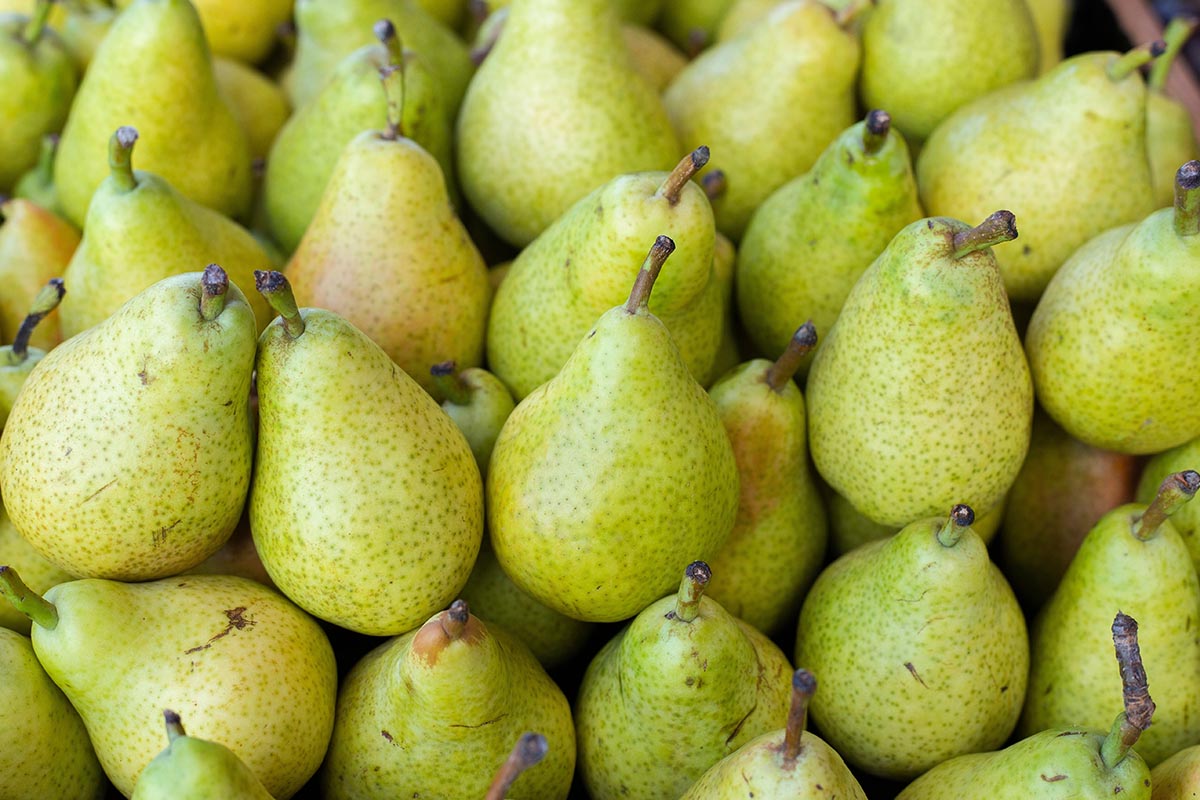 USA Pears projects an abundant 2025 harvest, with yields 60 percent above last year's ...