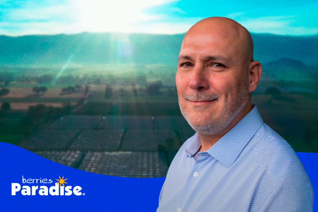 Berries Paradise appoints new CEO for North America - FreshFruitPortal.com