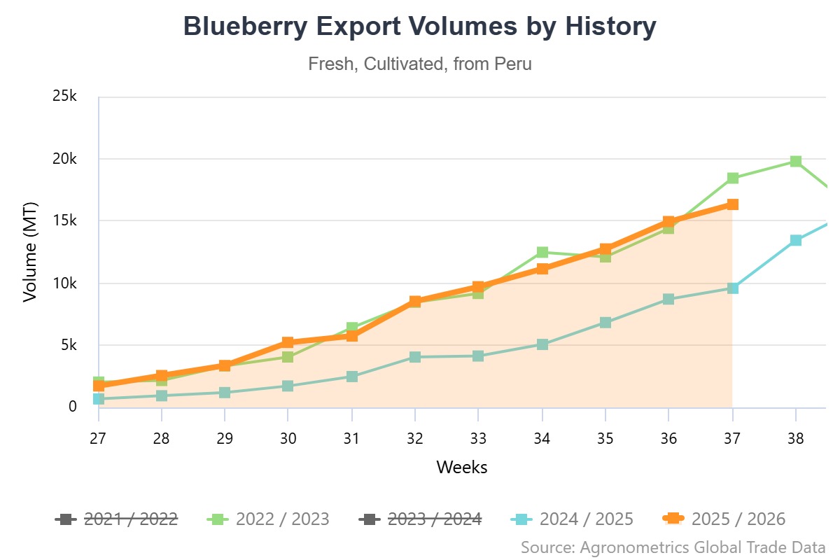 Blueberry packing: How will this get "SORTED" out? - FreshFruitPortal.com