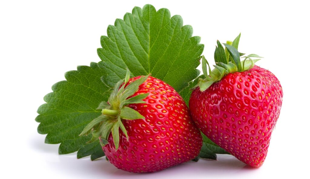 Freshfel highlights European strawberry market but warns of challenges ...