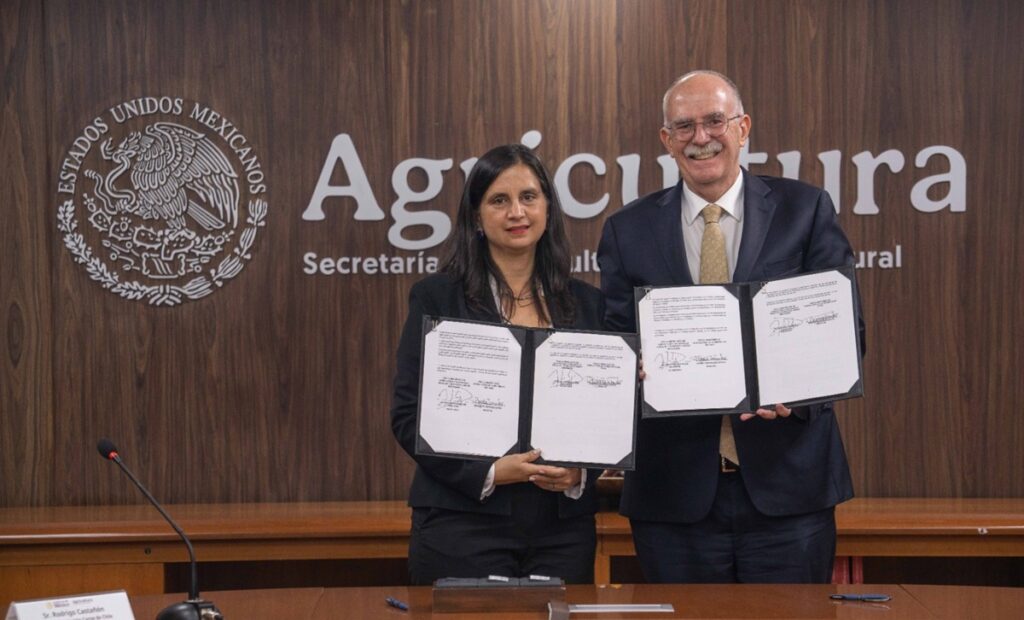 Chile secures Mexican market access for its oranges - FreshFruitPortal.com