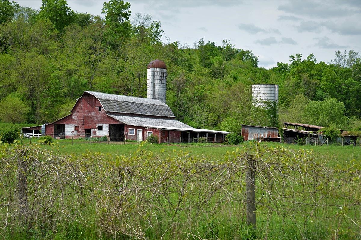USDA allocates nearly $570 million to cover agricultural losses in ...