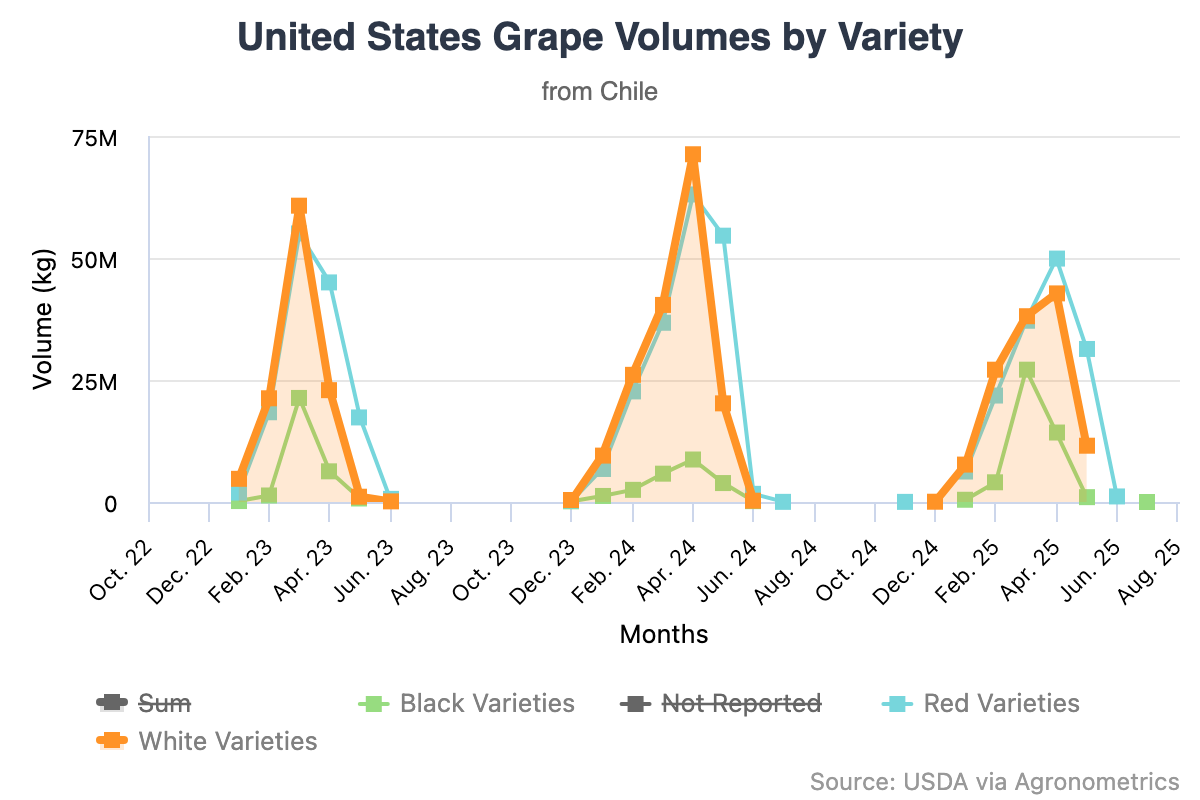 New varieties drive Chilean Table Grape industry shift amid declining ...