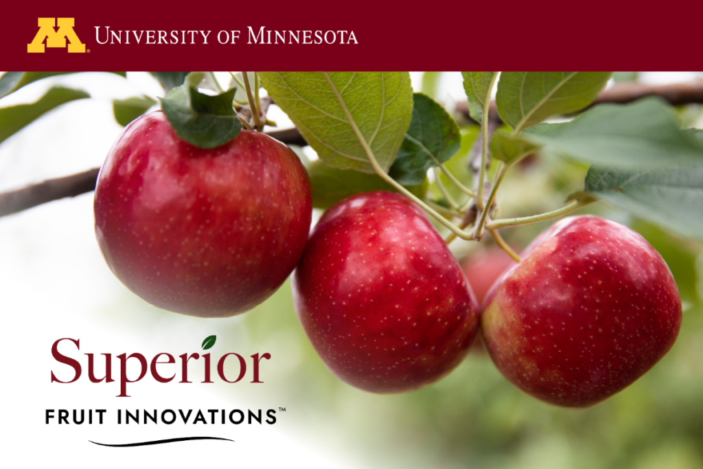 University of Minnesota opens apple and grape licensing to all US growers