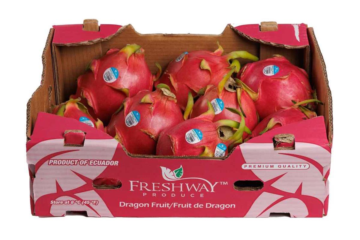 Freshway Produce’s new website offers recipes, health trends, and ...