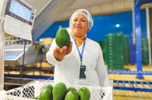 A diversified ag-strategy puts Peru on track for historic $14 billion ...