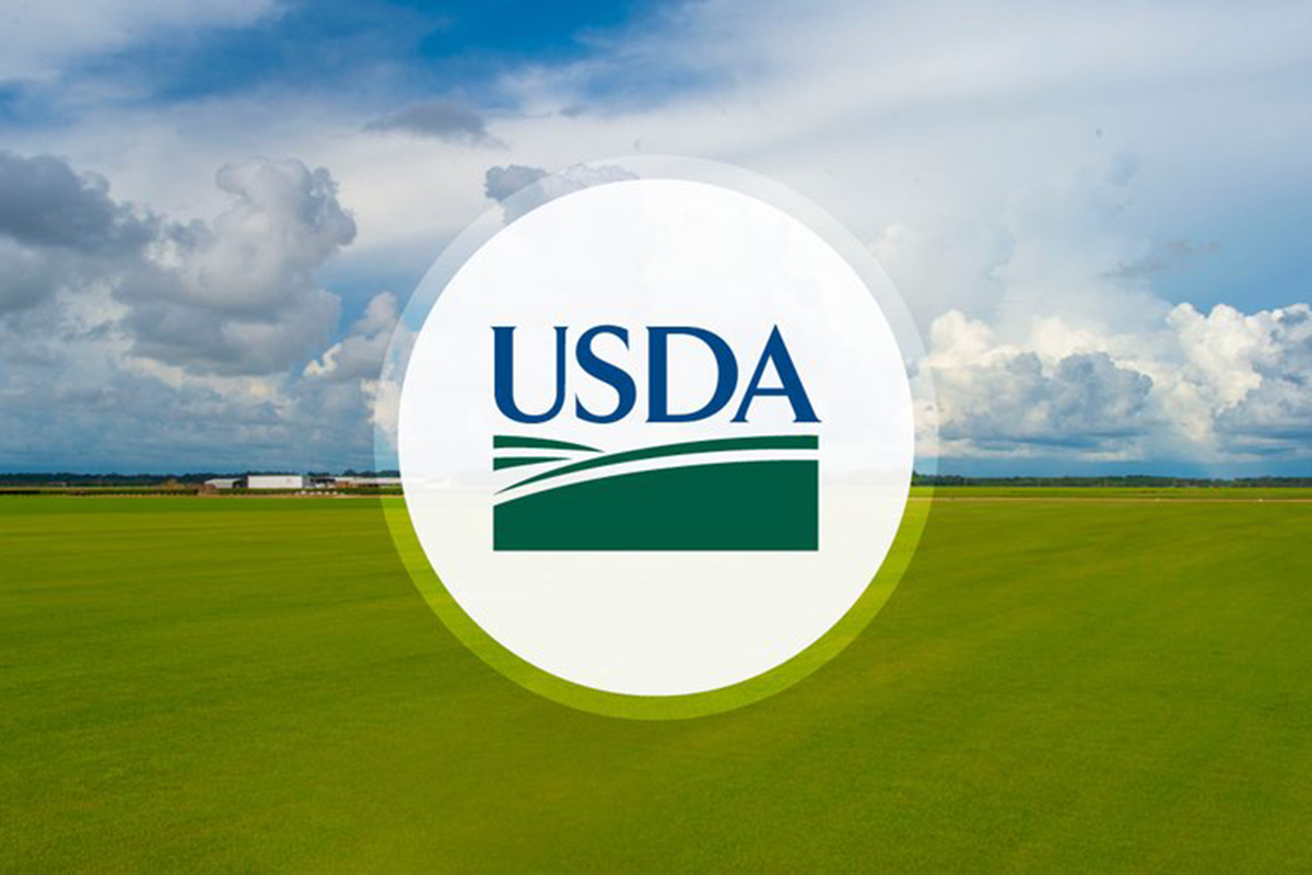 USDA expands New World screwworm eradication efforts by opening of fly ...