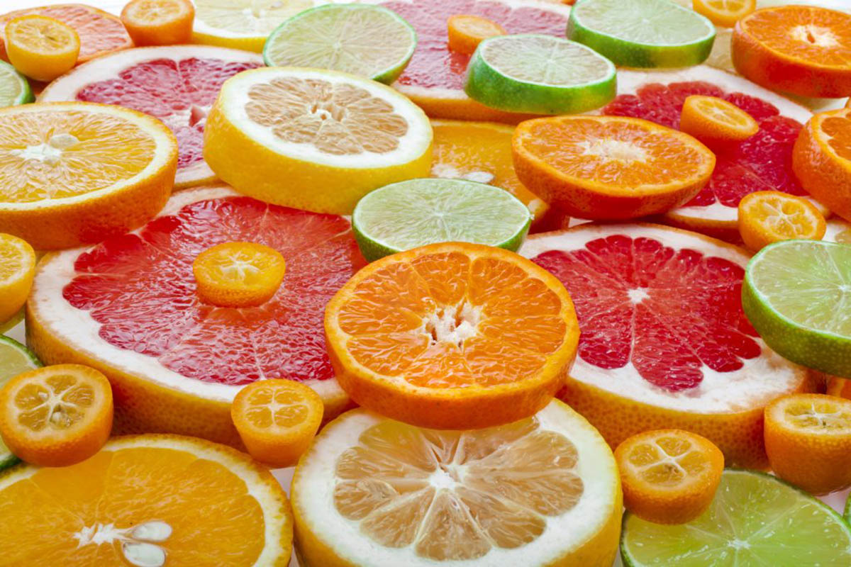 How Milei's policies are jump-starting Argentina's citrus ...