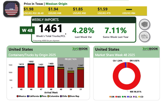 Chilean avocado exports ramp up - FreshFruitPortal.com