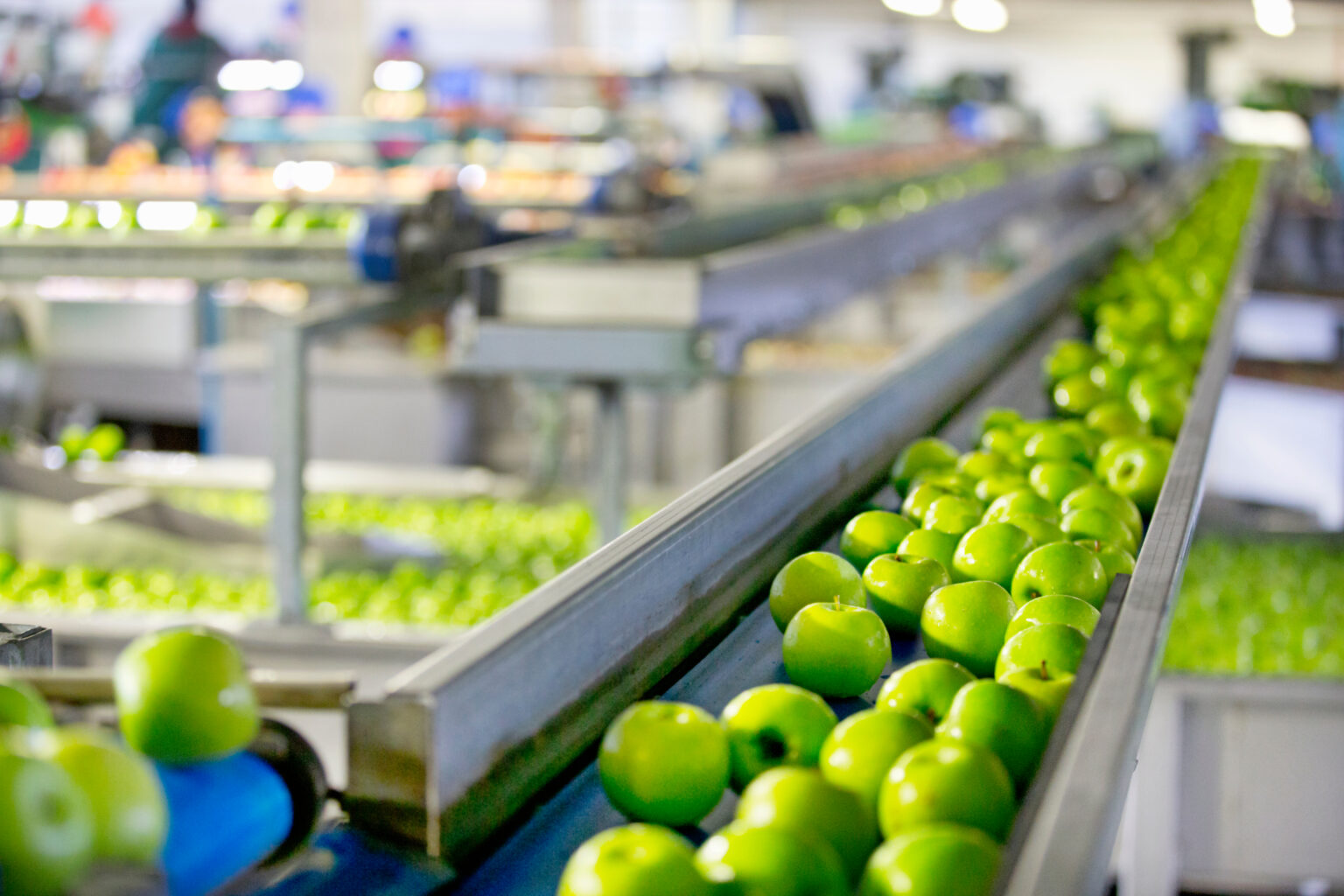 Canadian apple 2025-26 outlook holds steady - FreshFruitPortal.co,