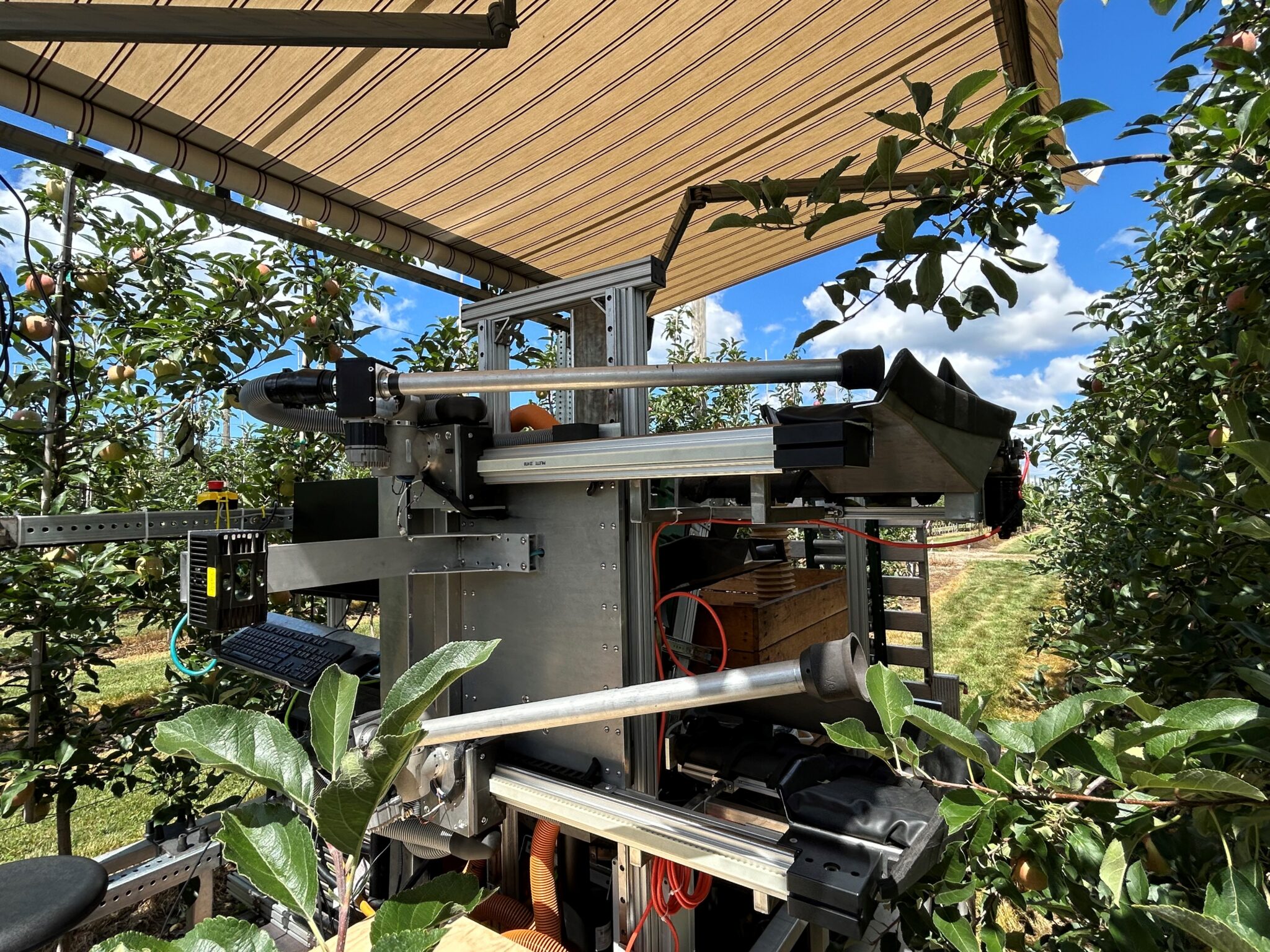 Apple robot targets 80 percent picking rate - FreshFruitPortal.com