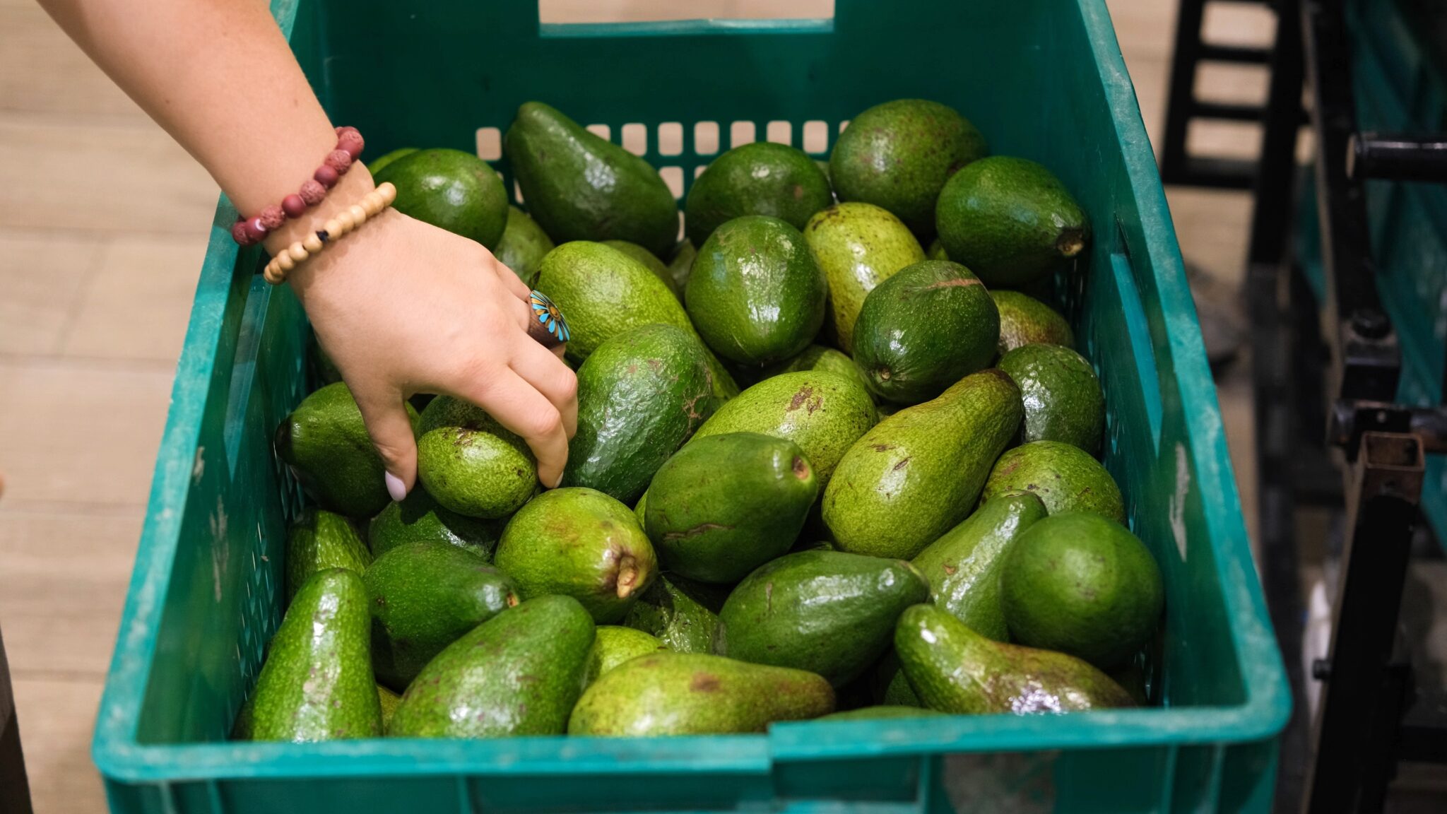 Avocados From Mexico sets the bar high with 2.5B export projection ...