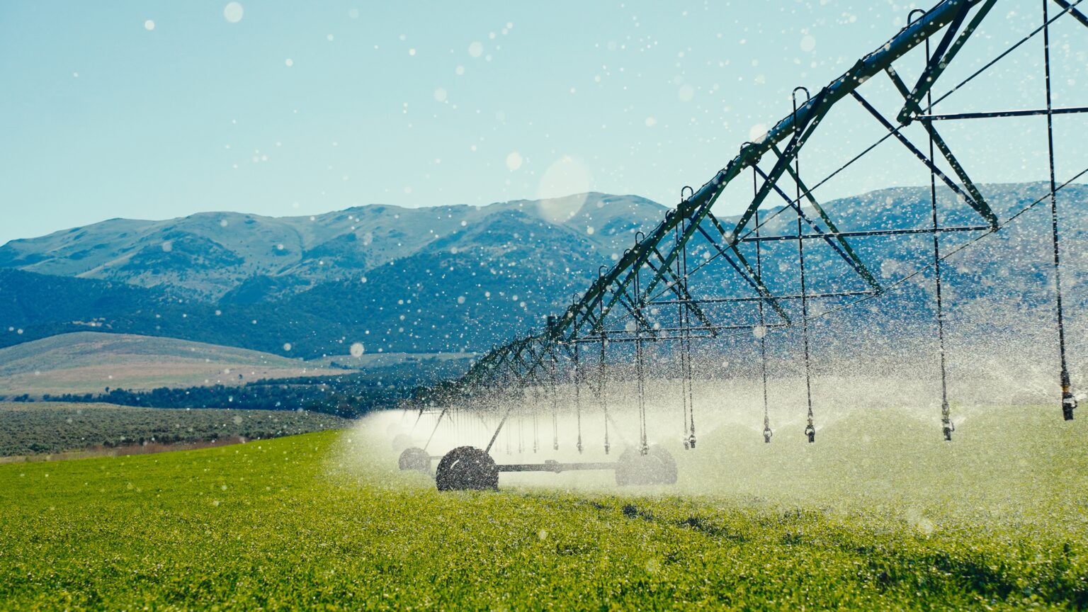 Komet’s new low-pressure sprinkler improves yields - FreshFruitPortal.com