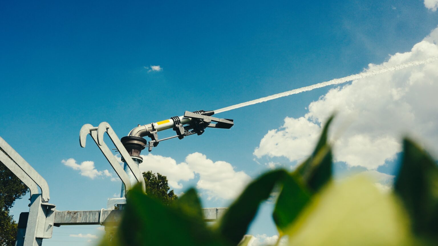 Komet’s new low-pressure sprinkler improves yields - FreshFruitPortal.com