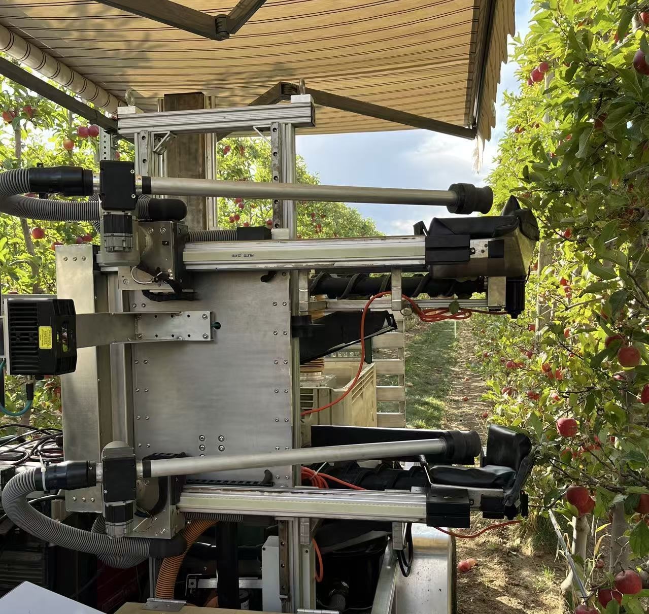 Apple robot targets 80 percent picking rate - FreshFruitPortal.com