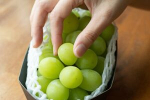 China's table grape exports to Russia triple in 2025, reaching grand ...
