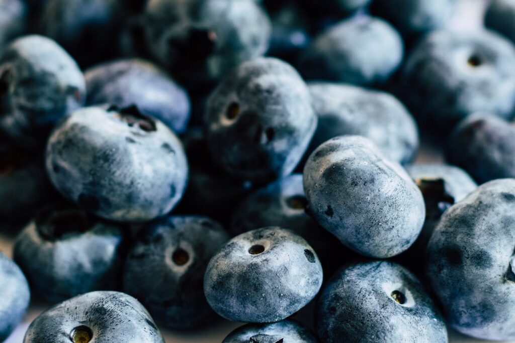 Morocco's blueberry industry at an inflection point - FreshFruitPortal.com