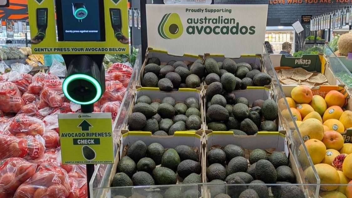 Australian avocado scanner boosts sales and consumer confidence ...