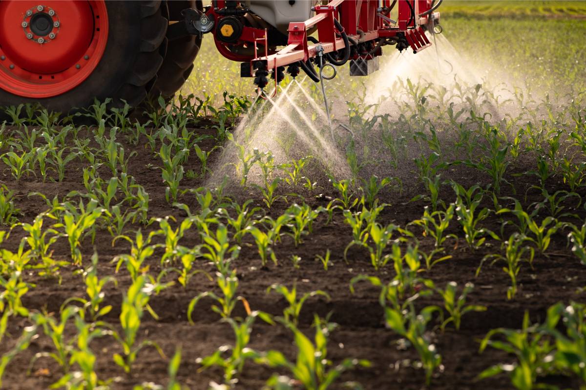 Pesticide research and farm modernization: Trump Administration to roll ...