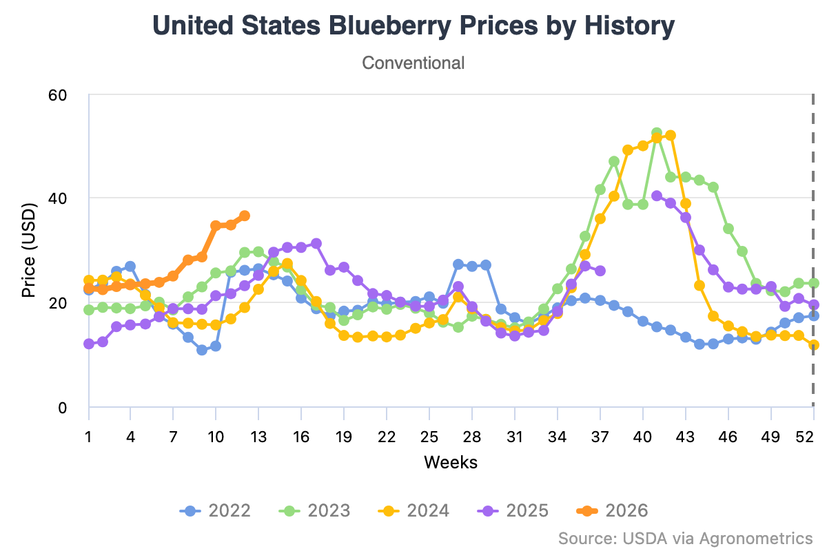US blueberry imports hit record 720B pounds - FreshFruitPortal.com