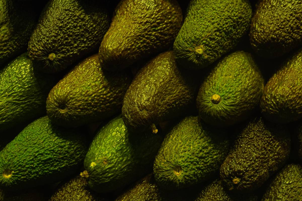 Avocado shortage across the border: Mission Produce and Westfalia Fruit ...