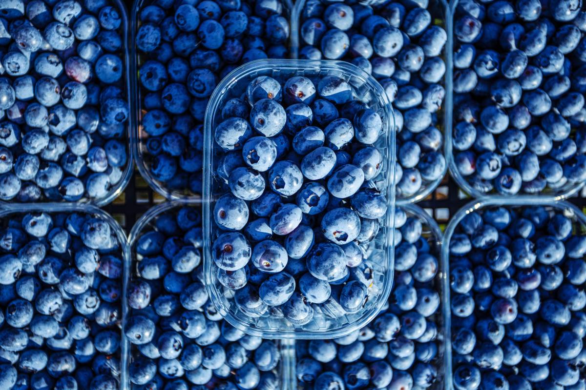 Chinese blueberry exports start to dominate in Southeast Asia ...