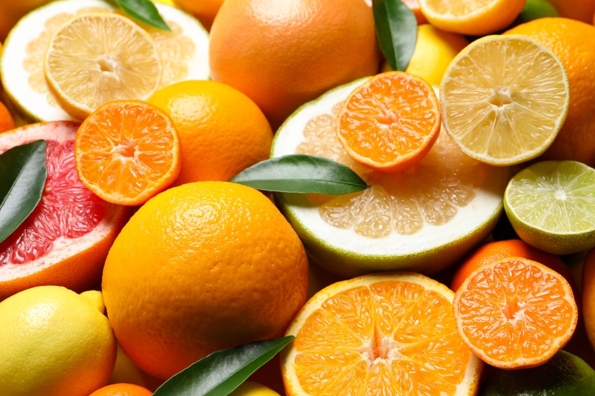 First South African citrus season shipments to hit the US with new ...