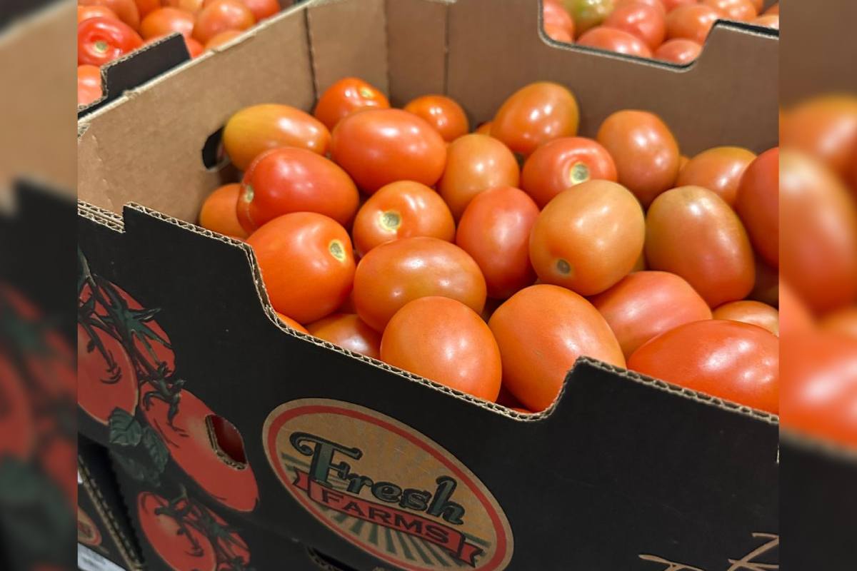 Fresh Farms kicks off Baja tomato season with strong market position ...